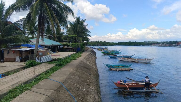 The Charm of Oriental Mindoro: Rivers, Attractions, and Community ...